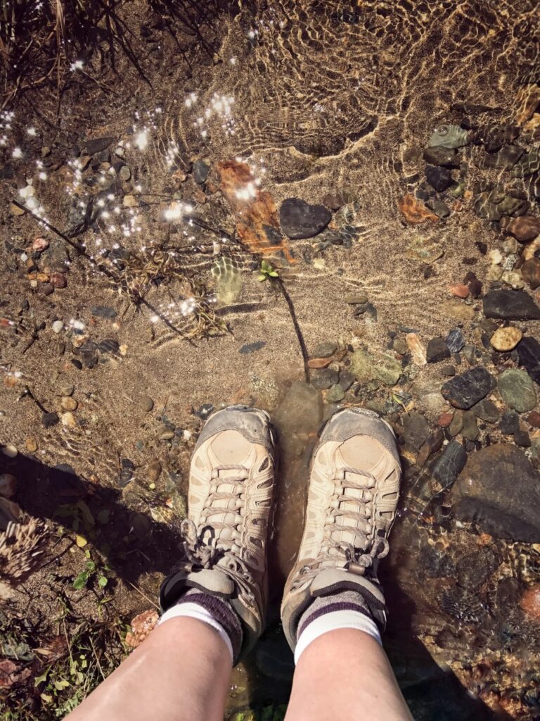 Friends of the River Staff, Amy Cottrell, Director of Operations ...